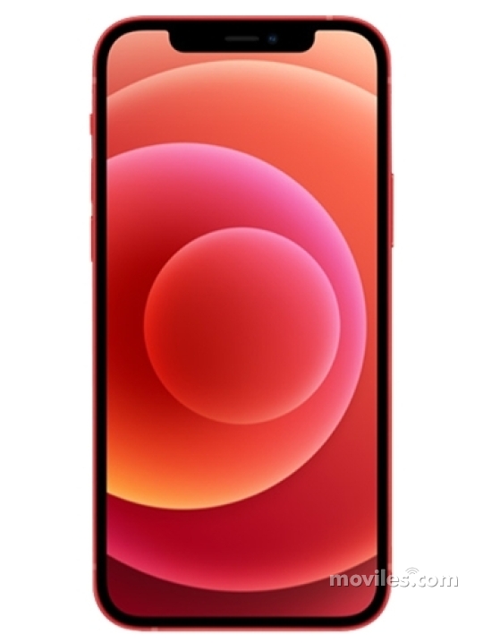 Apple iPhone 12 mini - Celulares.com Argentina